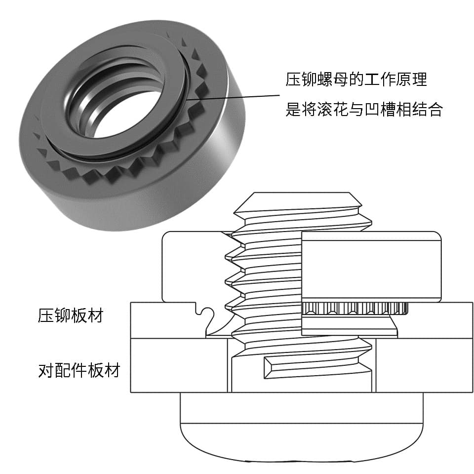 螺母 | 压铆螺母 - PEM®亚洲